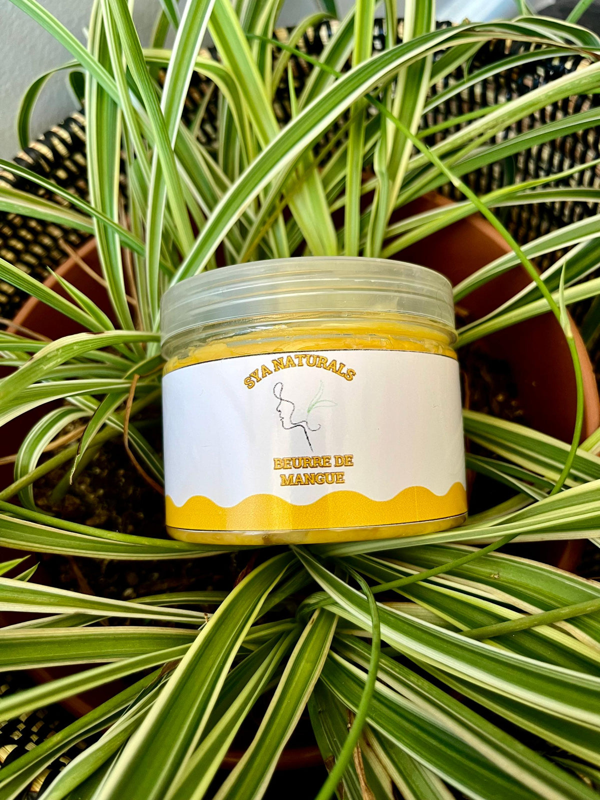 Mango Butter — Taaru Majeure